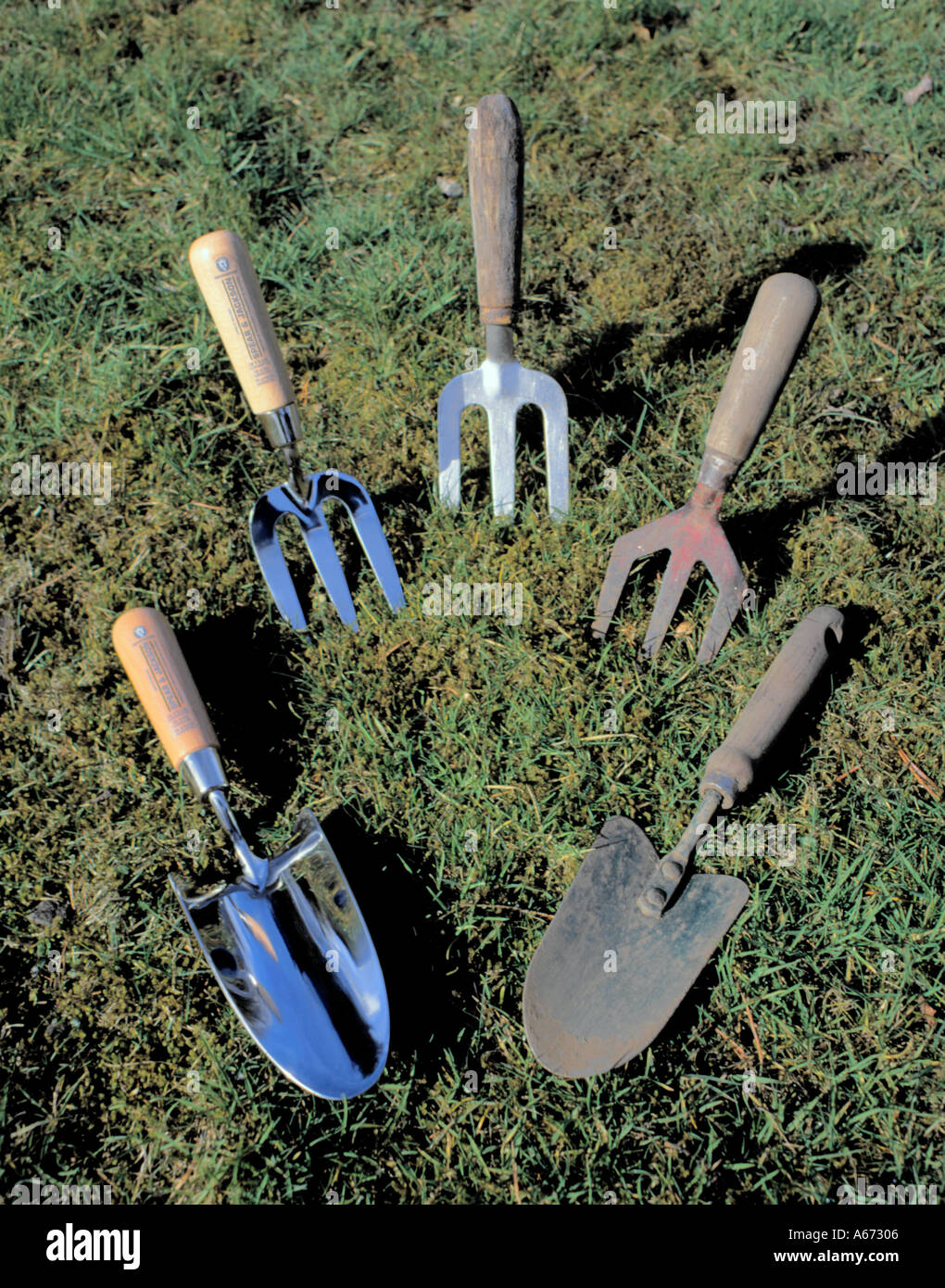 Stainless steel and ordinary steel gardening forks and trowels Stock ...