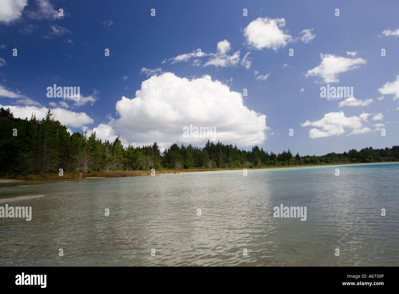 Kai Iwi lakes Taharoa near west coast North Island New Zealand Stock ...