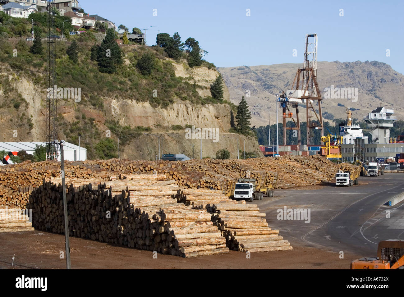 Timber logs stacked on quayside at Lyttleton Port near Christchurch New ...