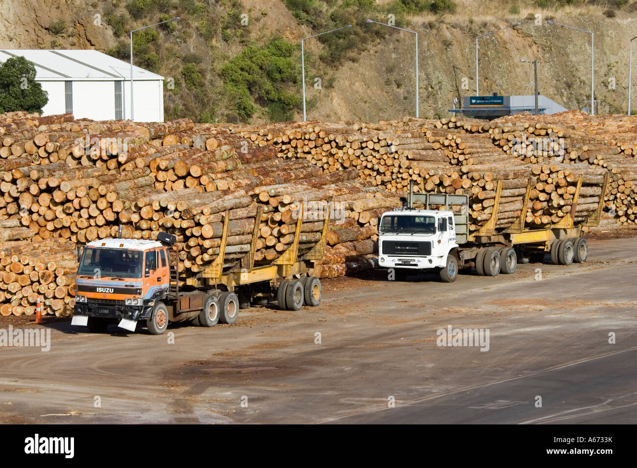 Trucks and timber logs stacked on quayside at Lyttleton Port near ...