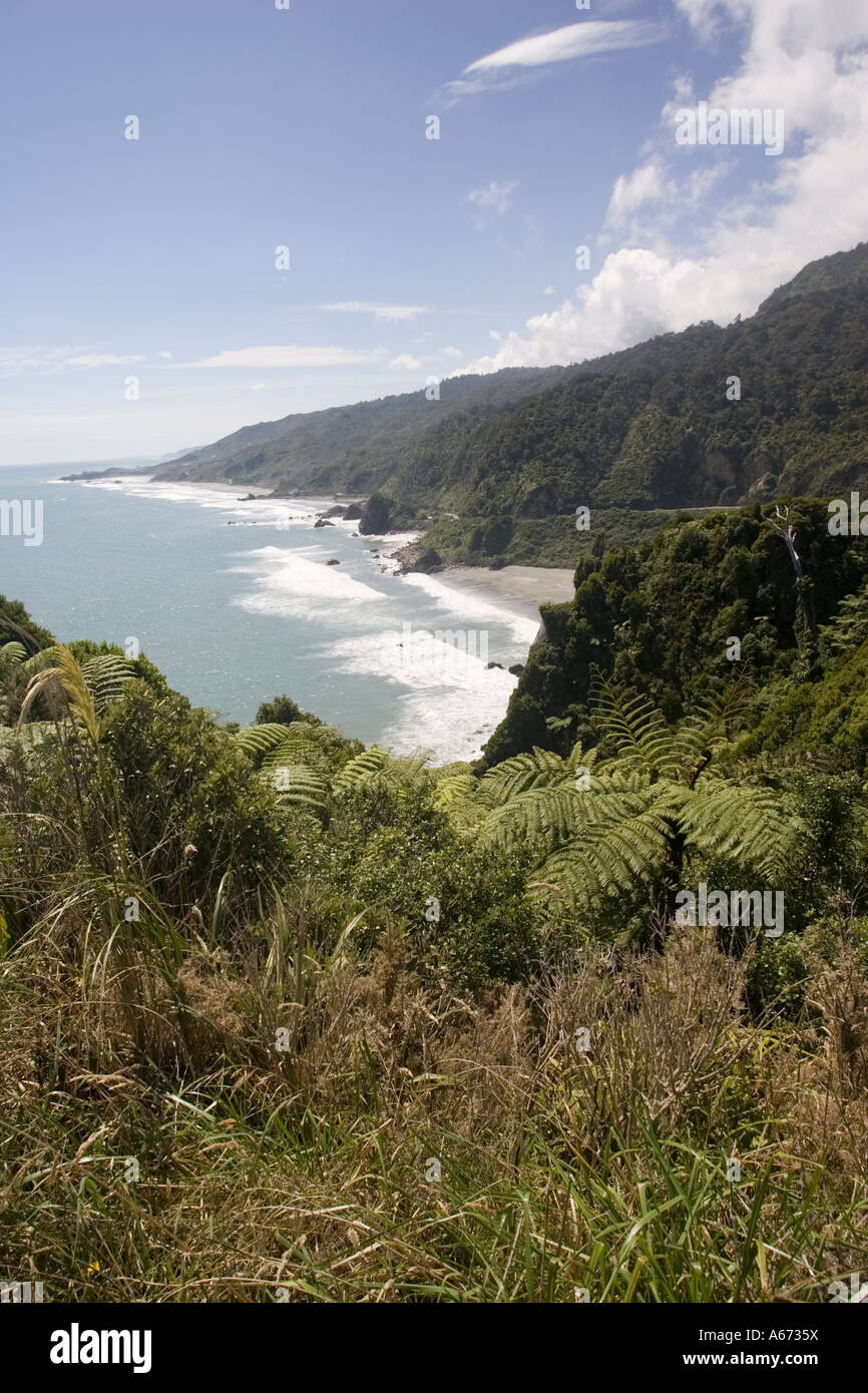 Coastal scenery in Paparoa National Park near Punakaiki South Island ...