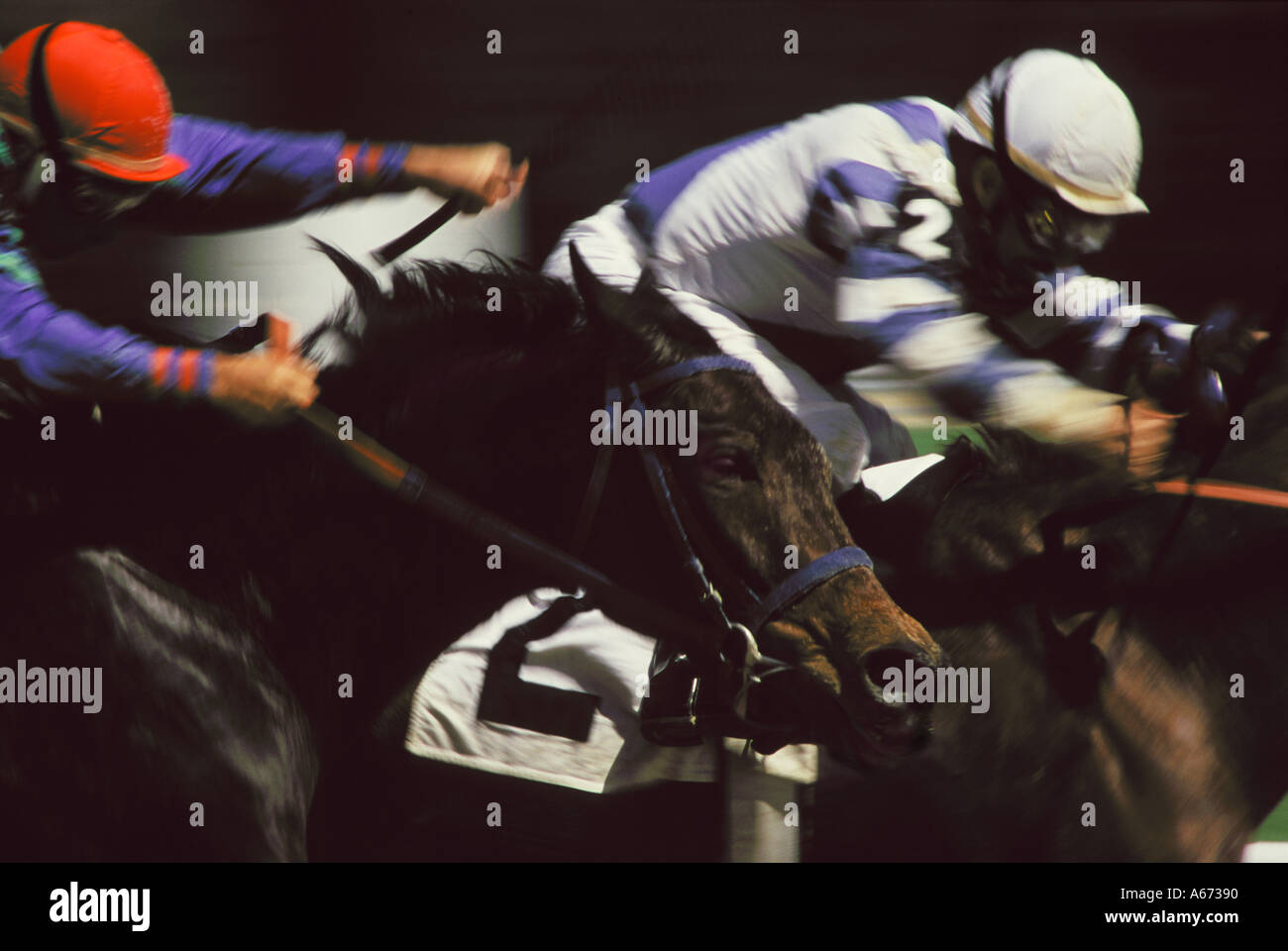 Horse Racing break from the gate Stock Photo - Alamy