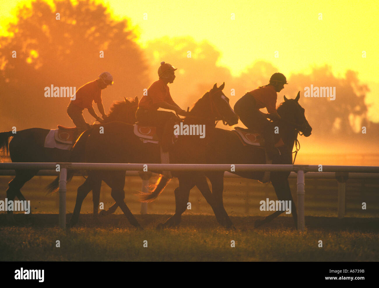 Exercise riders on Thoroughbred horses in early morning light Stock ...