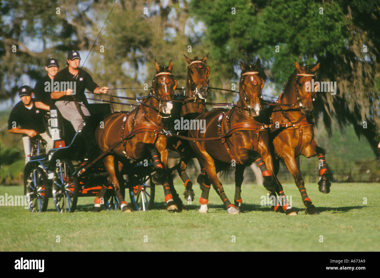 Combined driving event endurance course Stock Photo - Alamy