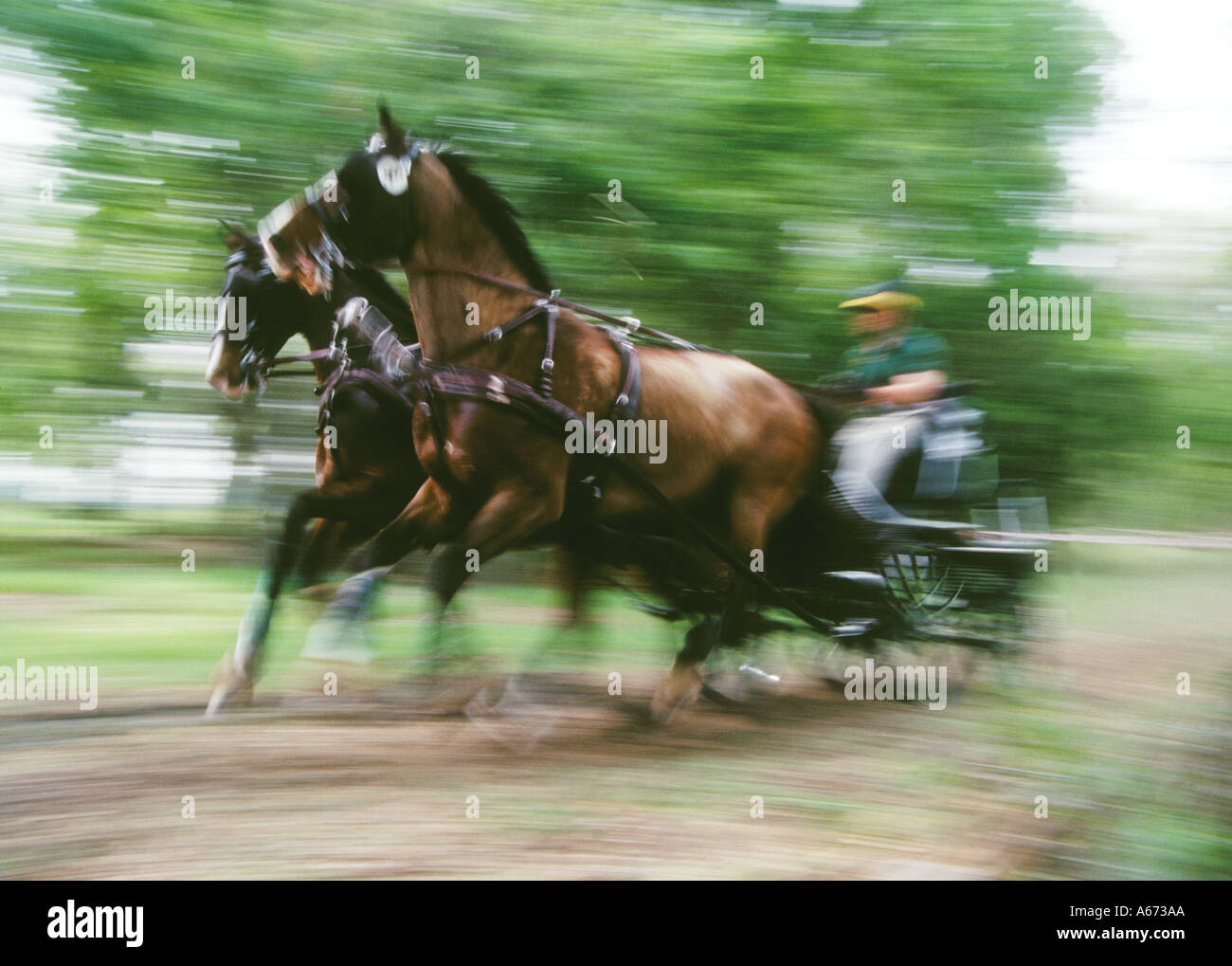 Combined driving event endurance course Stock Photo - Alamy