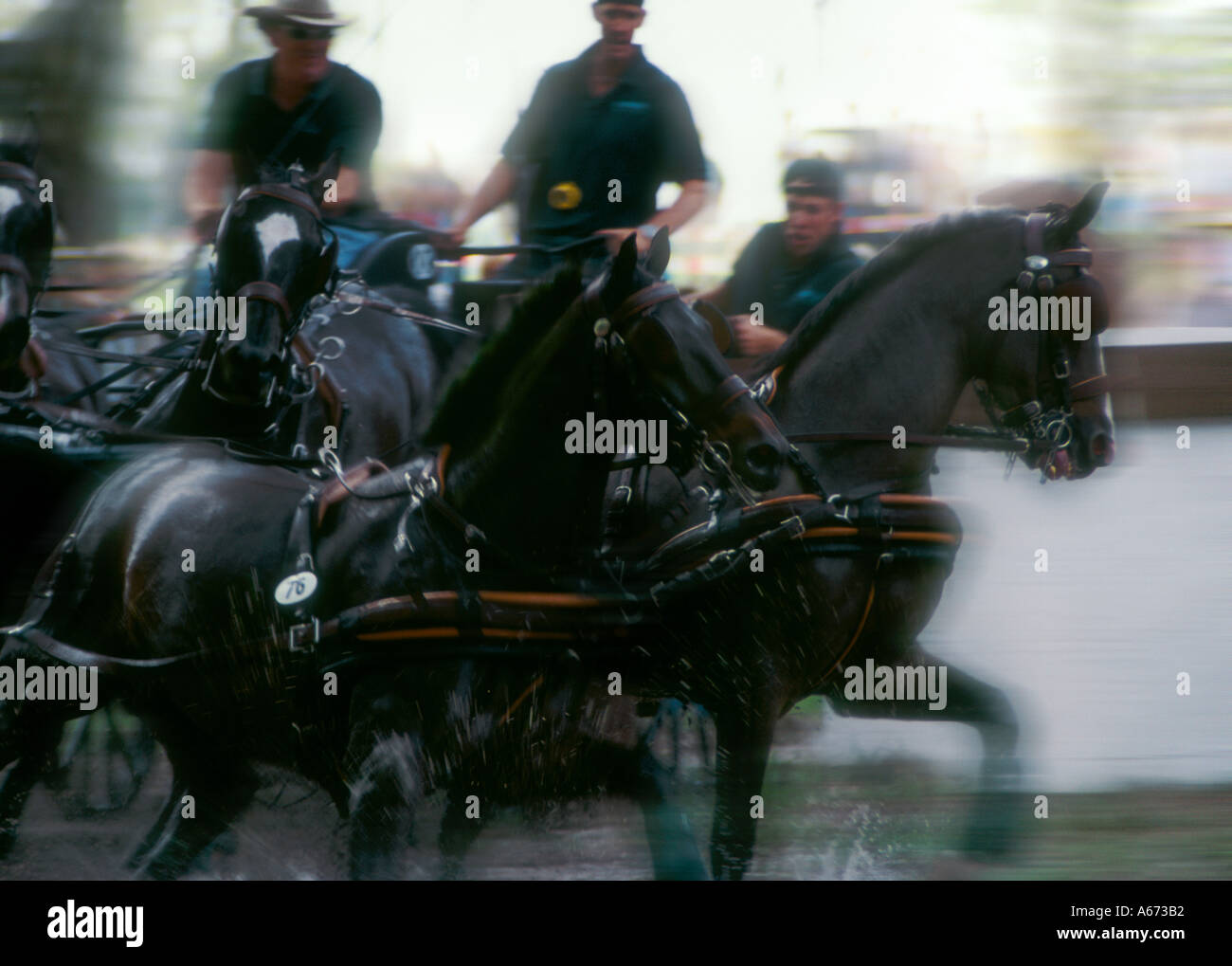 Combined Driving Endurance Event Stock Photo - Alamy