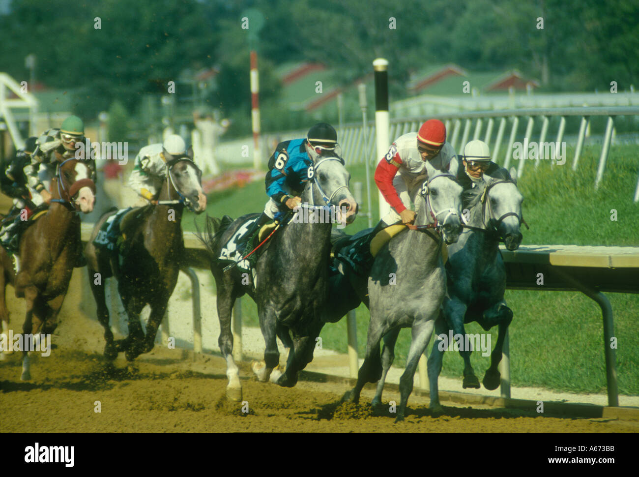Arabian Racing the first turn Stock Photo - Alamy