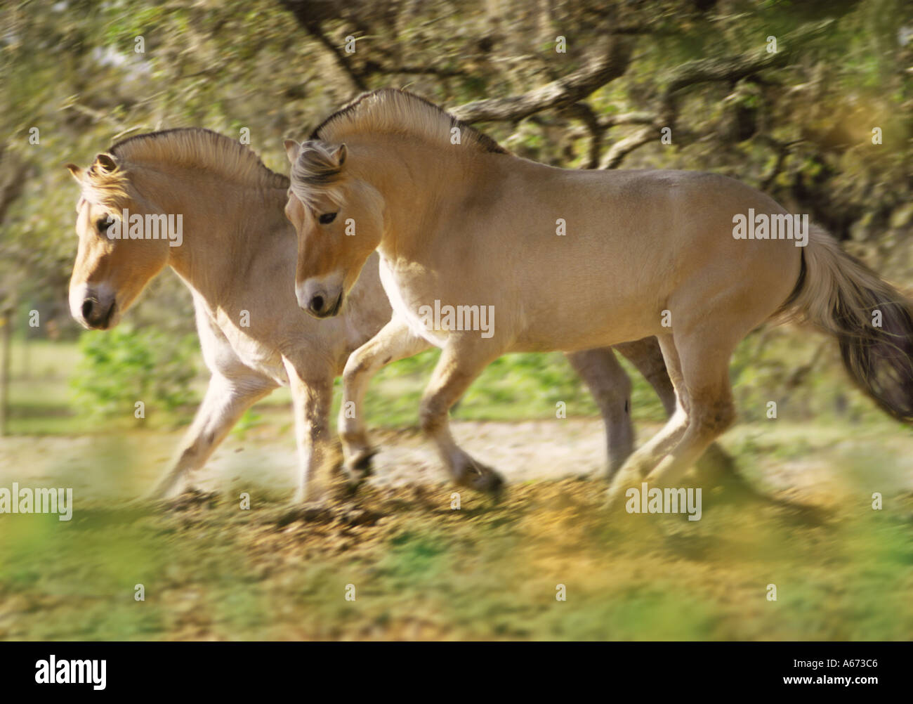 J Barrett Stock Photos & J Barrett Stock Images - Alamy