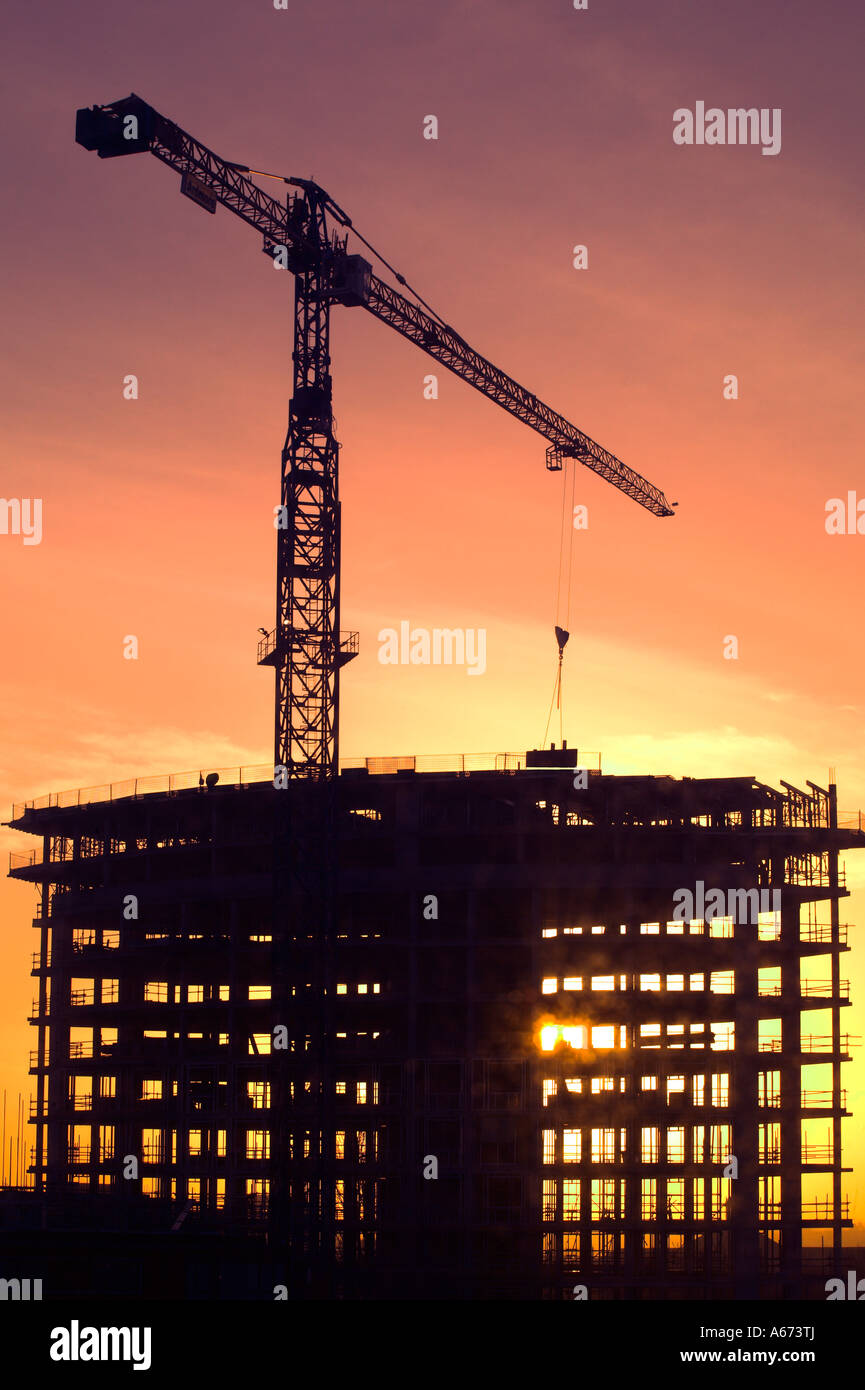 Crane backlit by sunset Stock Photo - Alamy