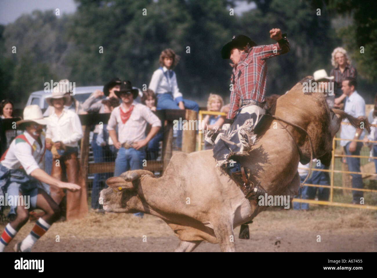 Bull Riding rodeo action Stock Photo - Alamy