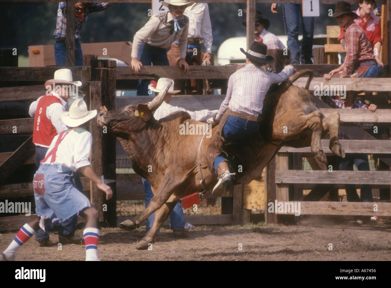 Bull Riding rodeo action Stock Photo - Alamy