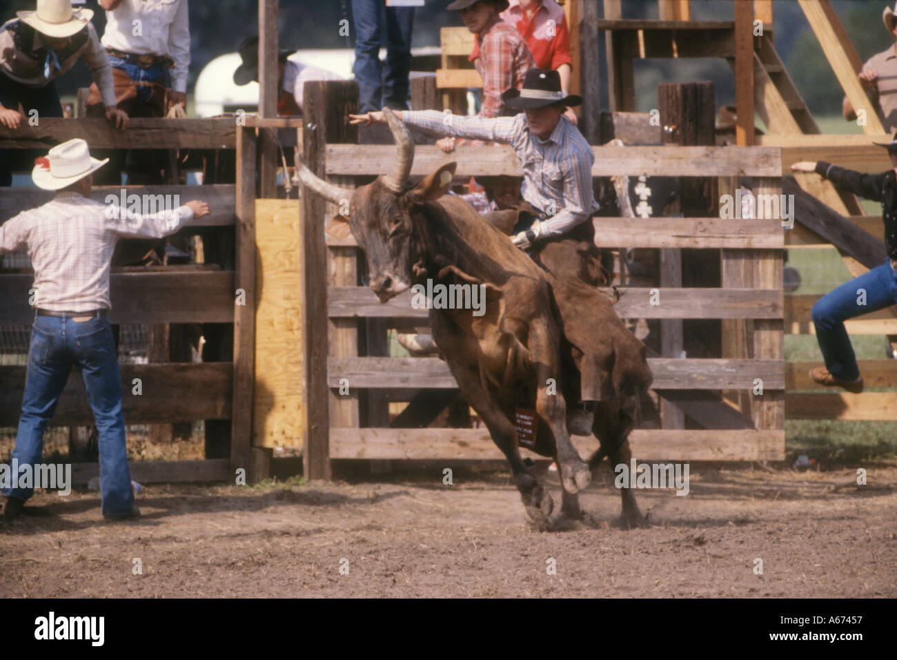 Rodeo injury hi-res stock photography and images - Alamy