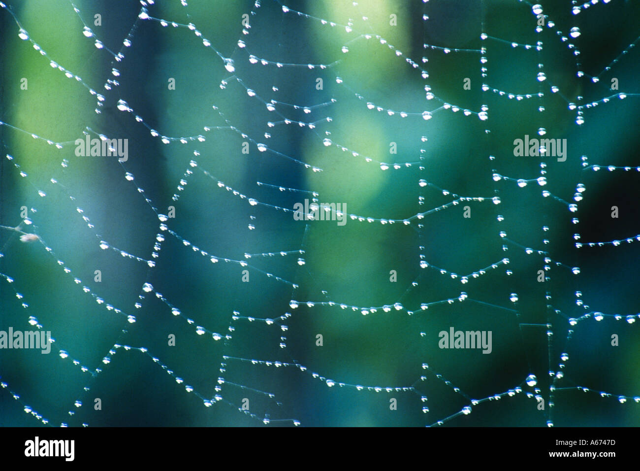 Sparkle hi-res stock photography and images - Alamy