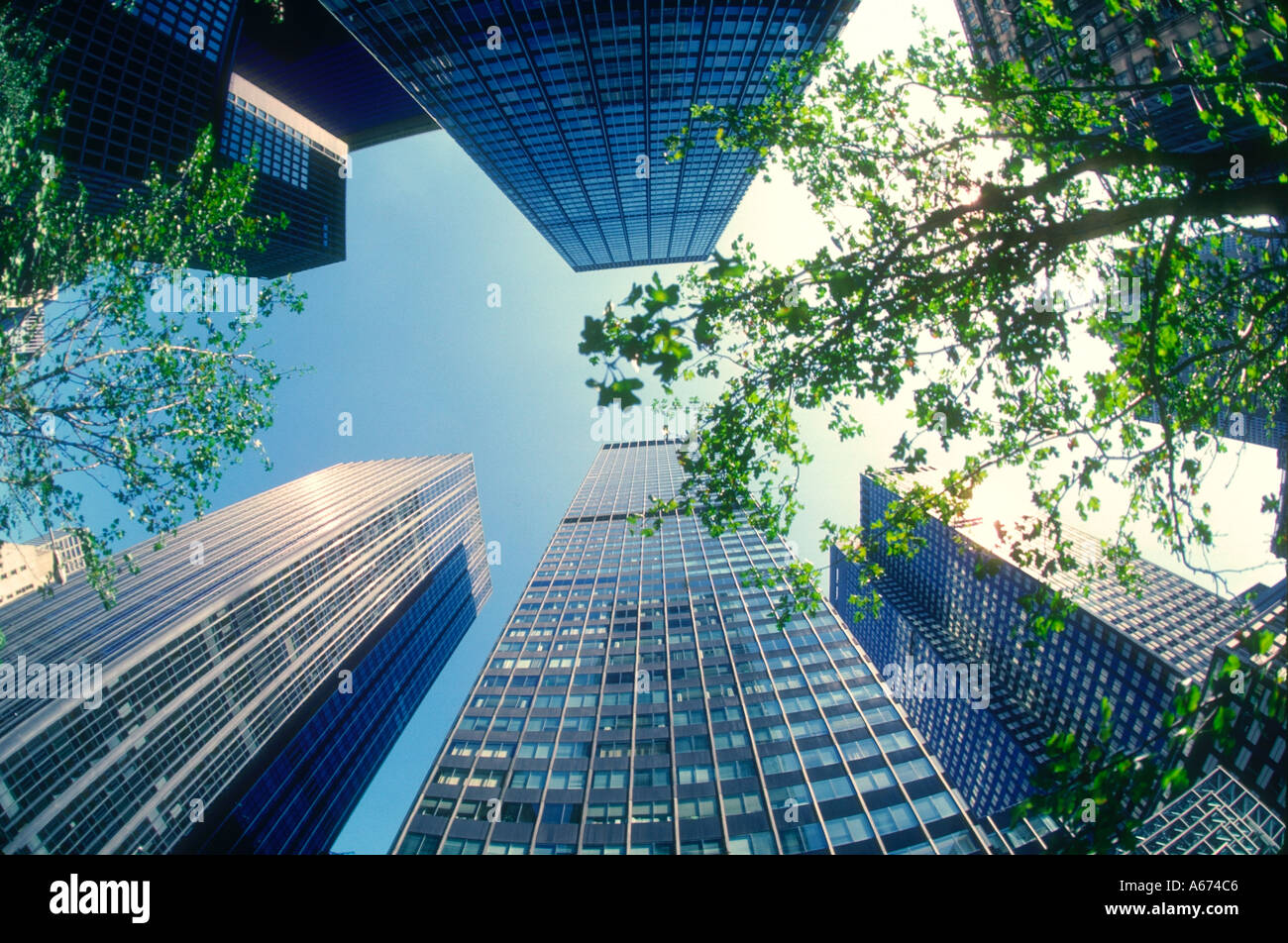 fish eye view New York City modern glass buildings Stock Photo - Alamy