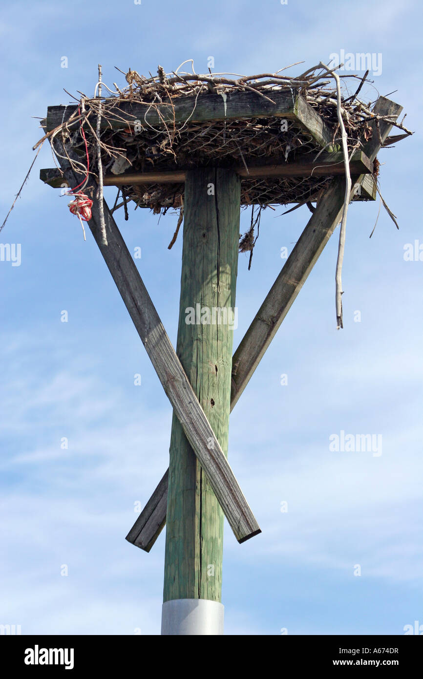 Man-made Osprey nesting platform Stock Photo - Alamy