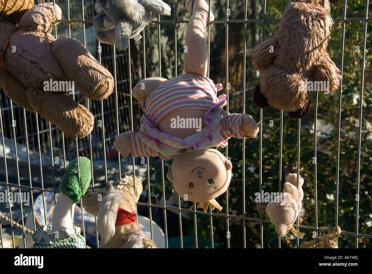 Soft toys stuck in fence Stock Photo - Alamy