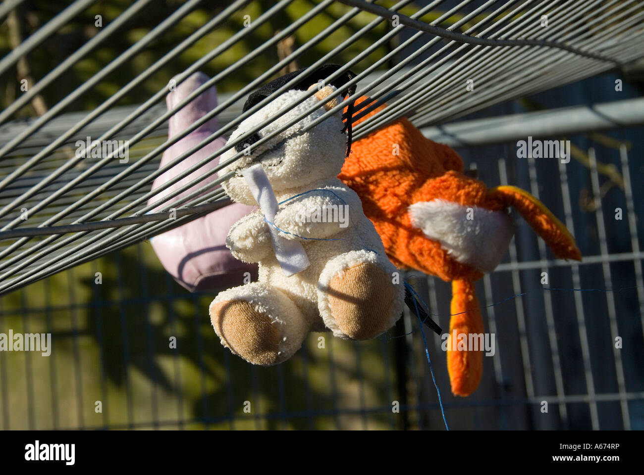 Soft toys stuck in fence Stock Photo - Alamy