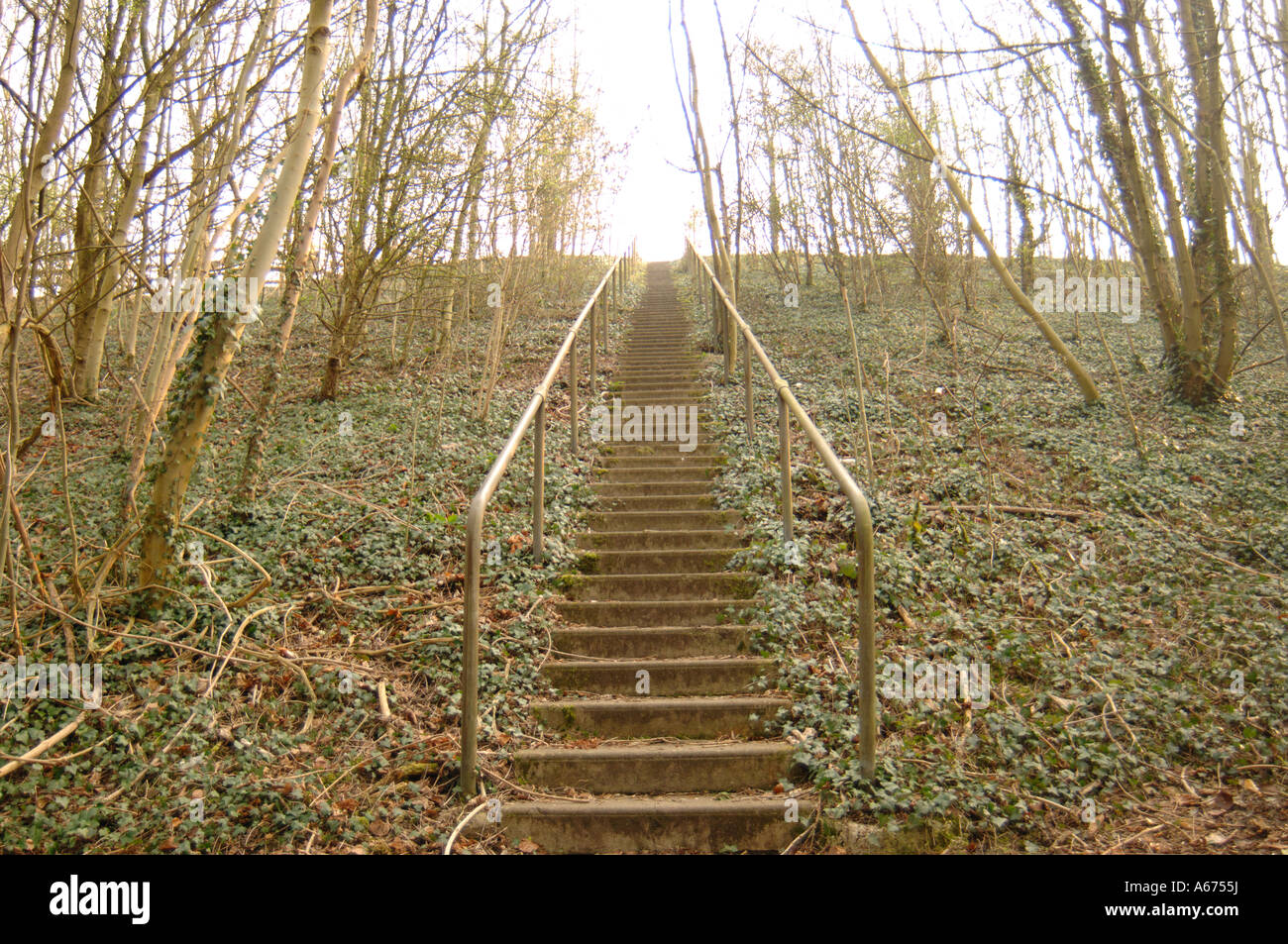 Wooded ladder hi-res stock photography and images - Alamy