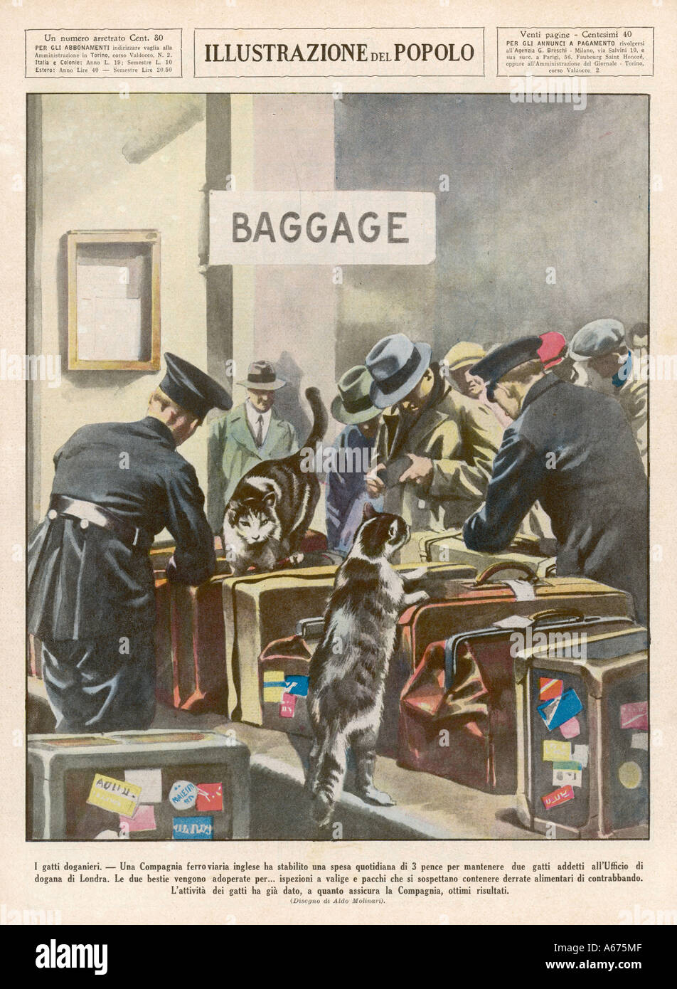 Sniffer Cats At Customs Stock Photo - Alamy