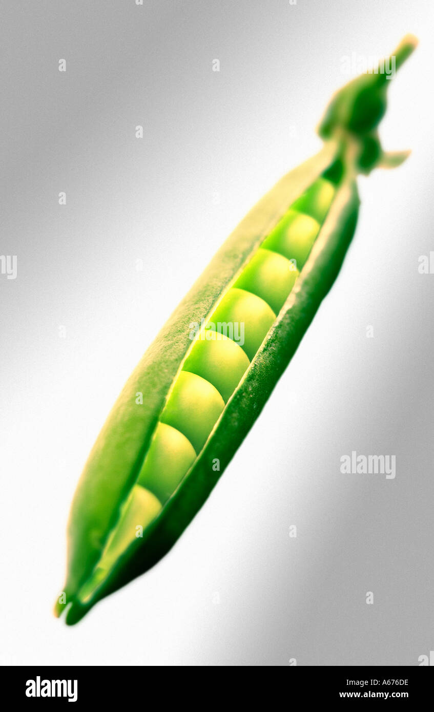 peas in pod Stock Photo - Alamy