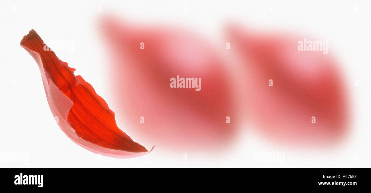Red onions and skin Stock Photo - Alamy