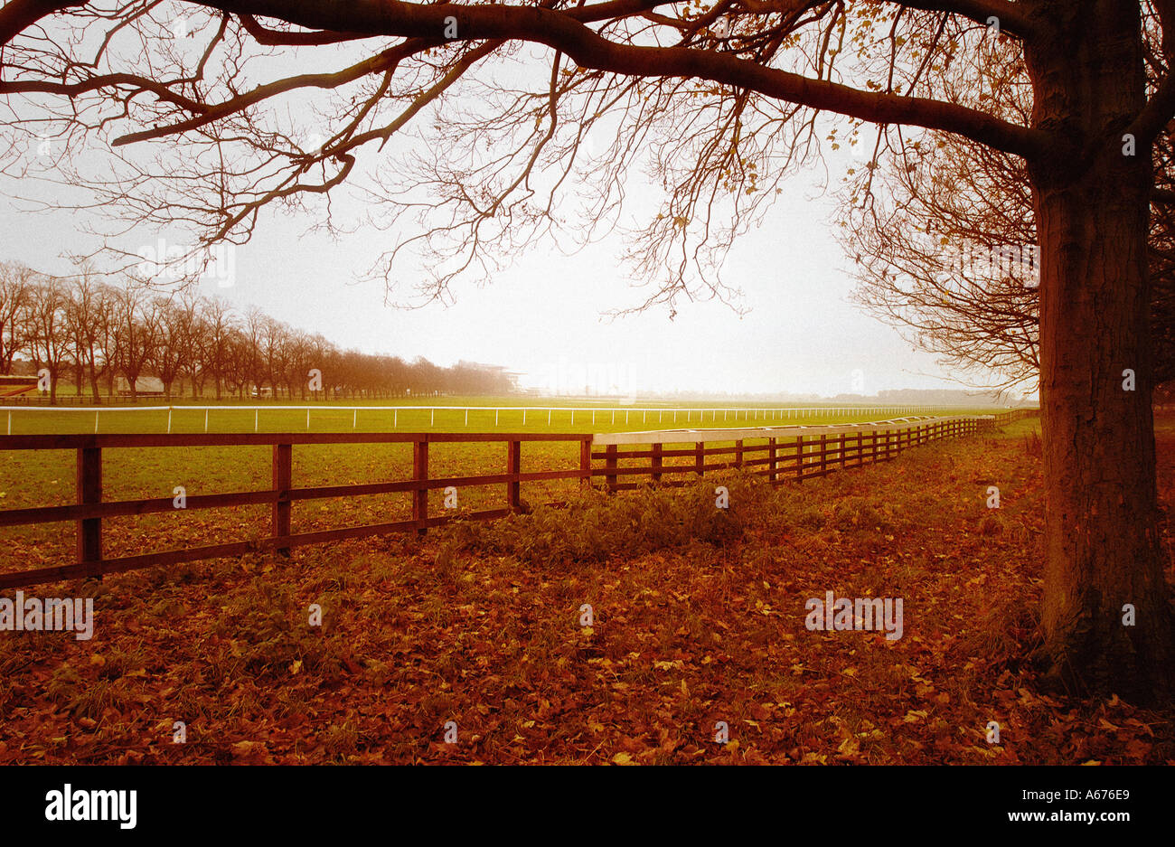 Knavesmire Racecourse York UK Stock Photo - Alamy