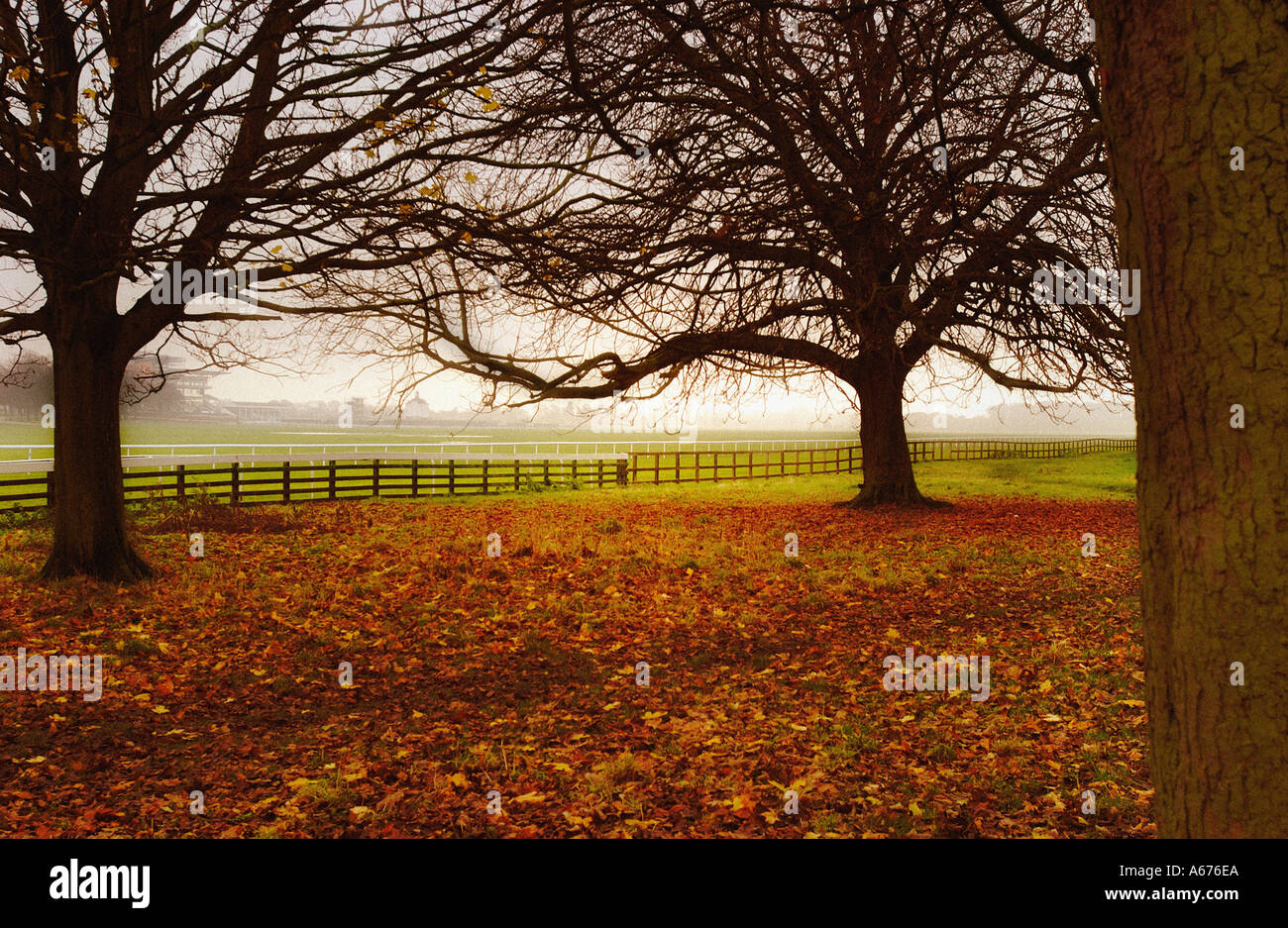 Knavesmire Racecourse York UK Stock Photo - Alamy
