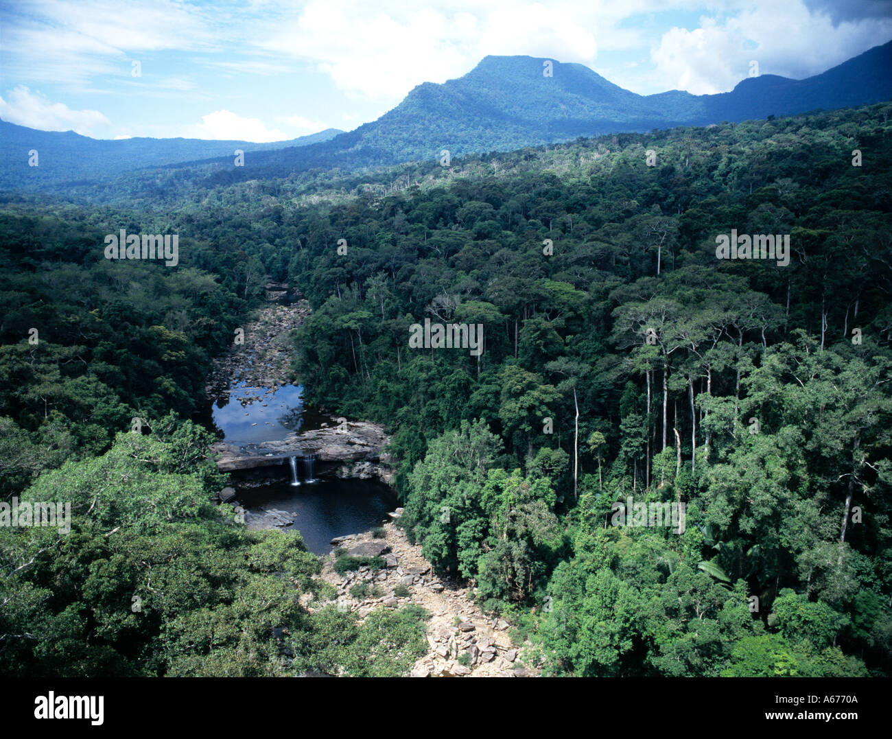 Mekong laos wildlife hi-res stock photography and images - Alamy