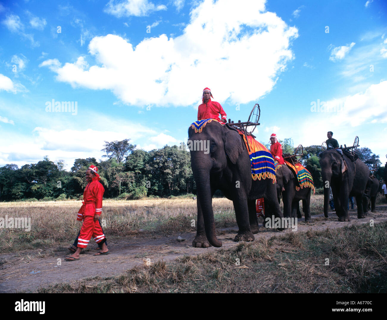 Elephant Procession Laos Stock Photo - Alamy