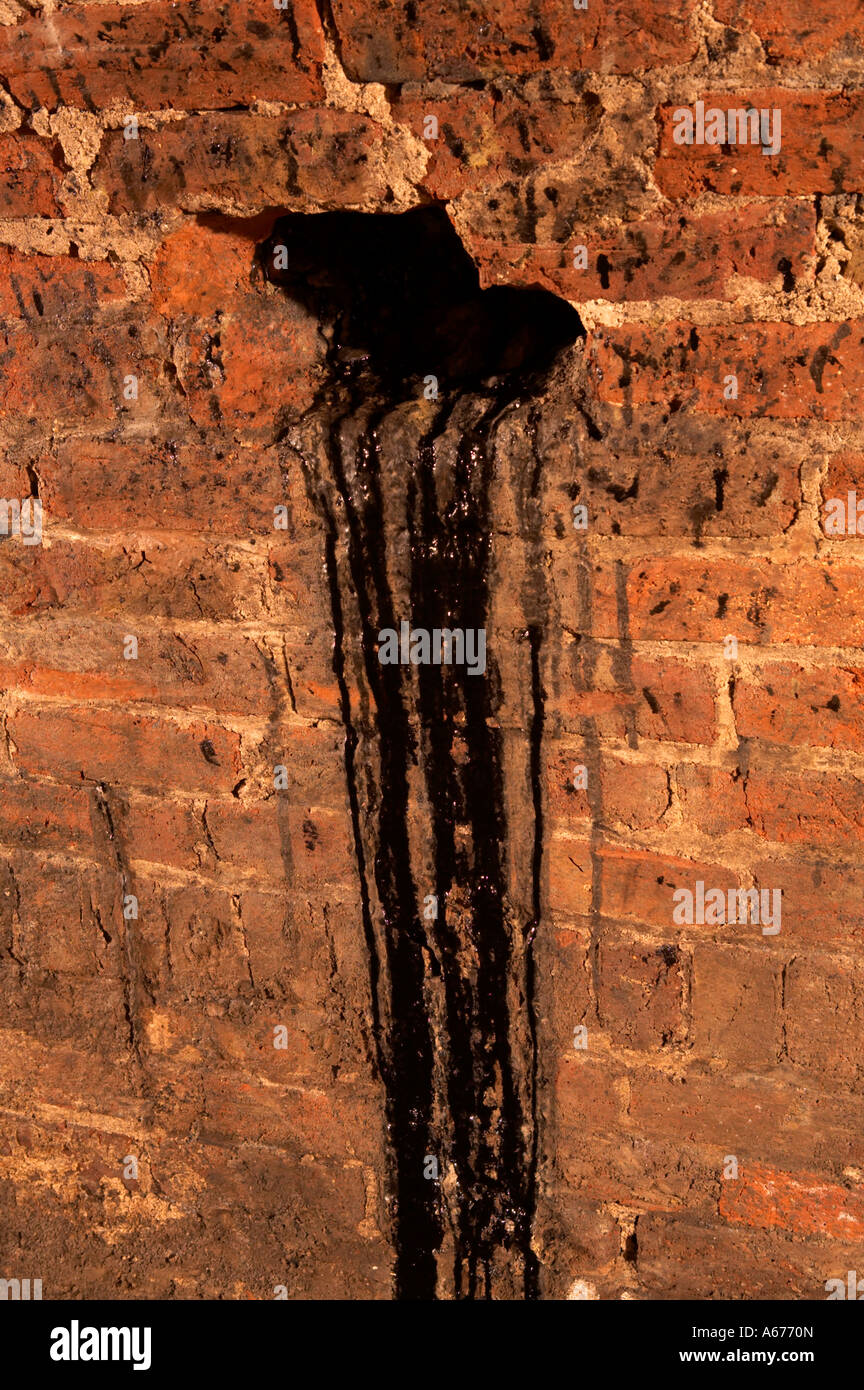 Tar leaking into tunnel at Ironbridge Gorge Shropshire England UK Stock ...