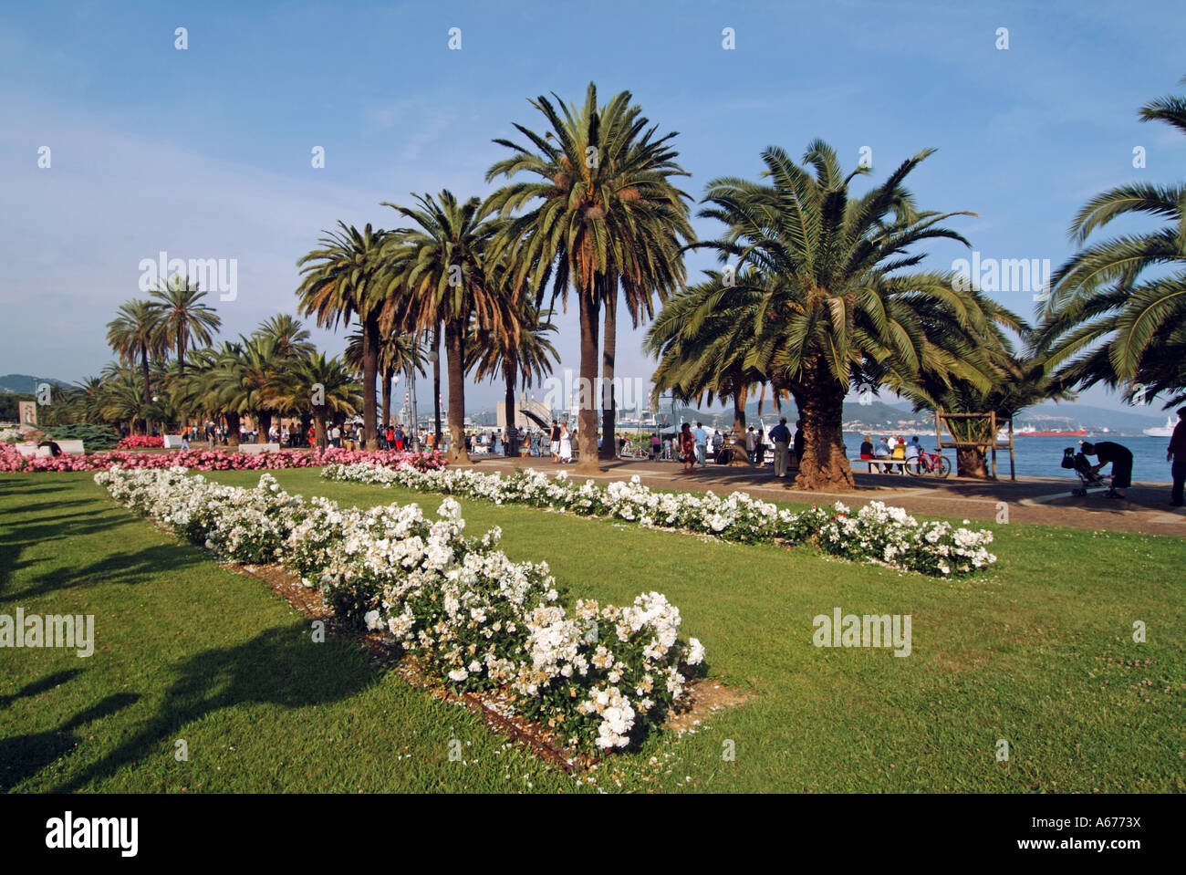 Commercial port waterfront promenade lined with palm trees & summertime ...