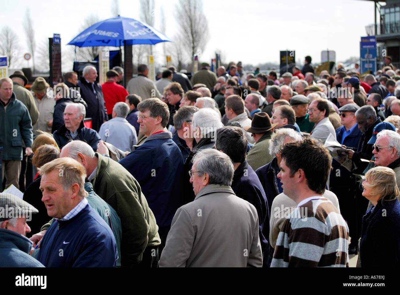 spectators at fakenham races, north norfolk, england Stock Photo - Alamy