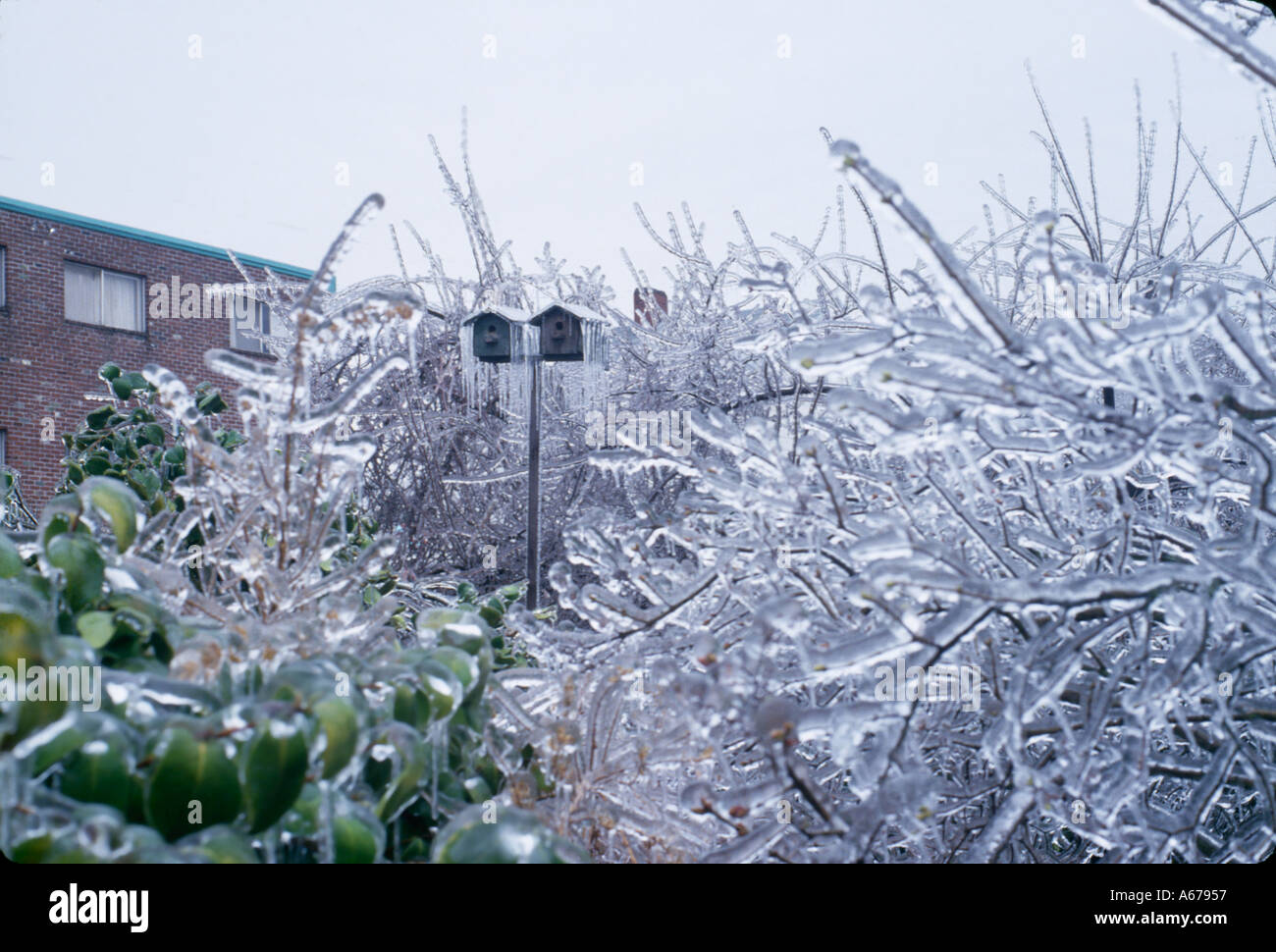 The Ice Storm Stock Photos & The Ice Storm Stock Images - Alamy