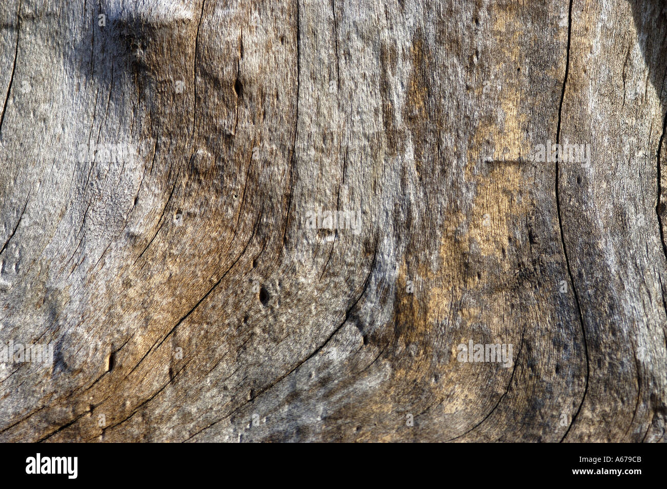 Street urban background City details wood tree Stock Photo - Alamy