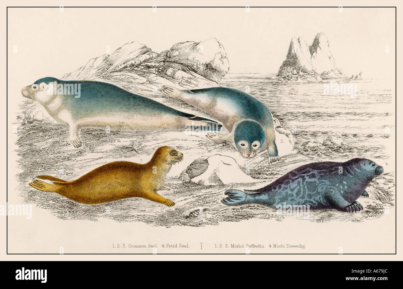 History seals hi-res stock photography and images - Alamy