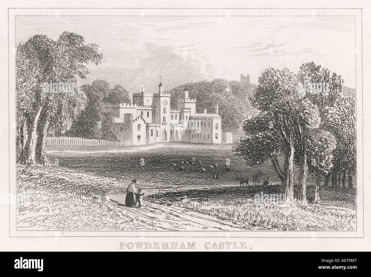 Powderham Castle Devon Stock Photo - Alamy