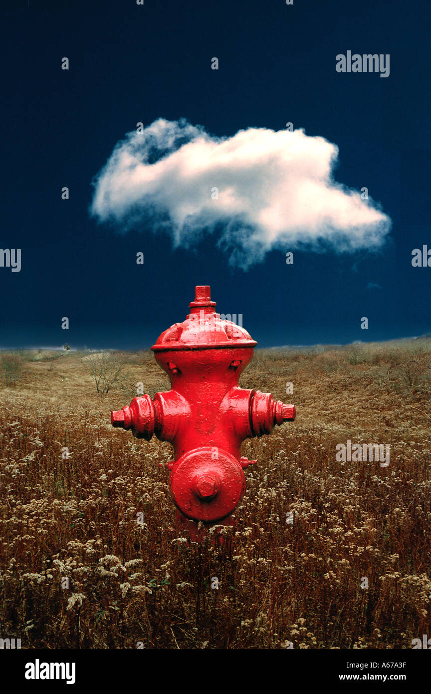 A red idea "fire hydrant" in a field with a blue sky and single white ...
