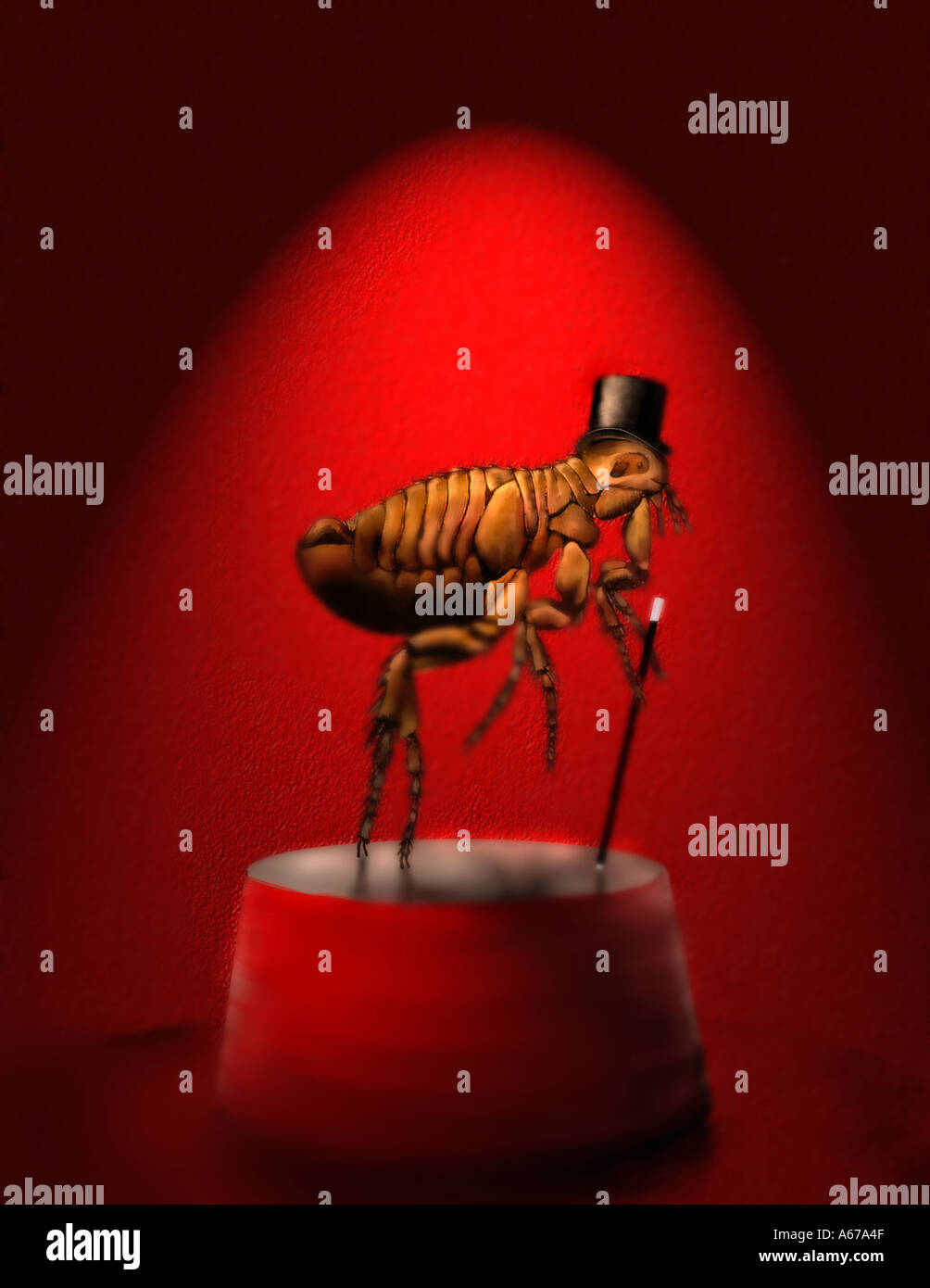 Flea circus hi-res stock photography and images - Alamy