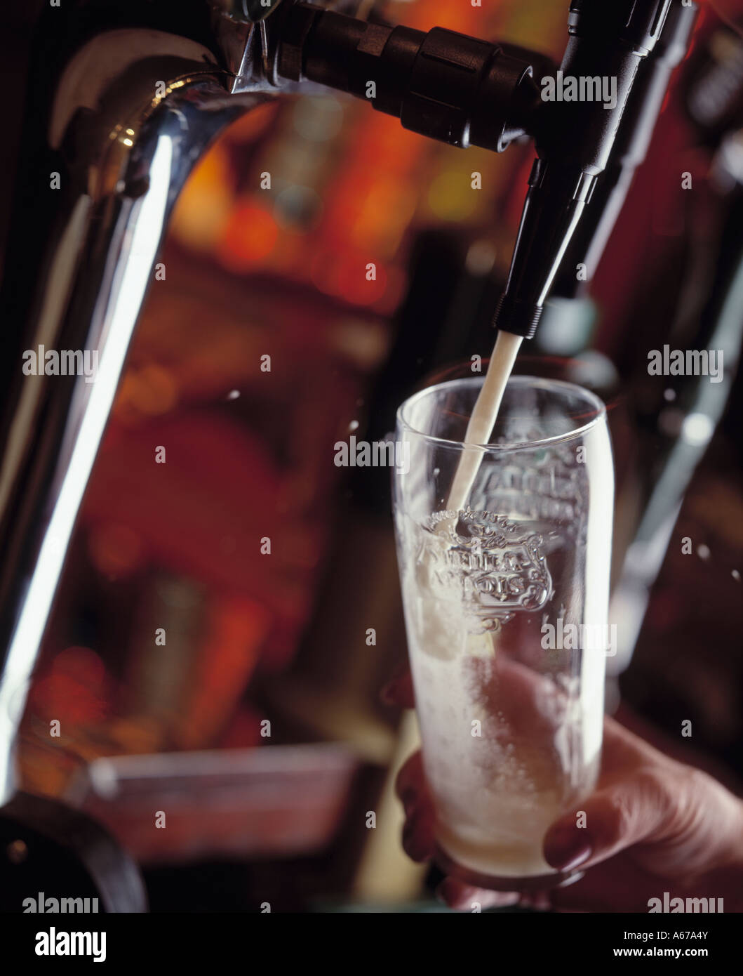 pouring pint of beer Stock Photo - Alamy