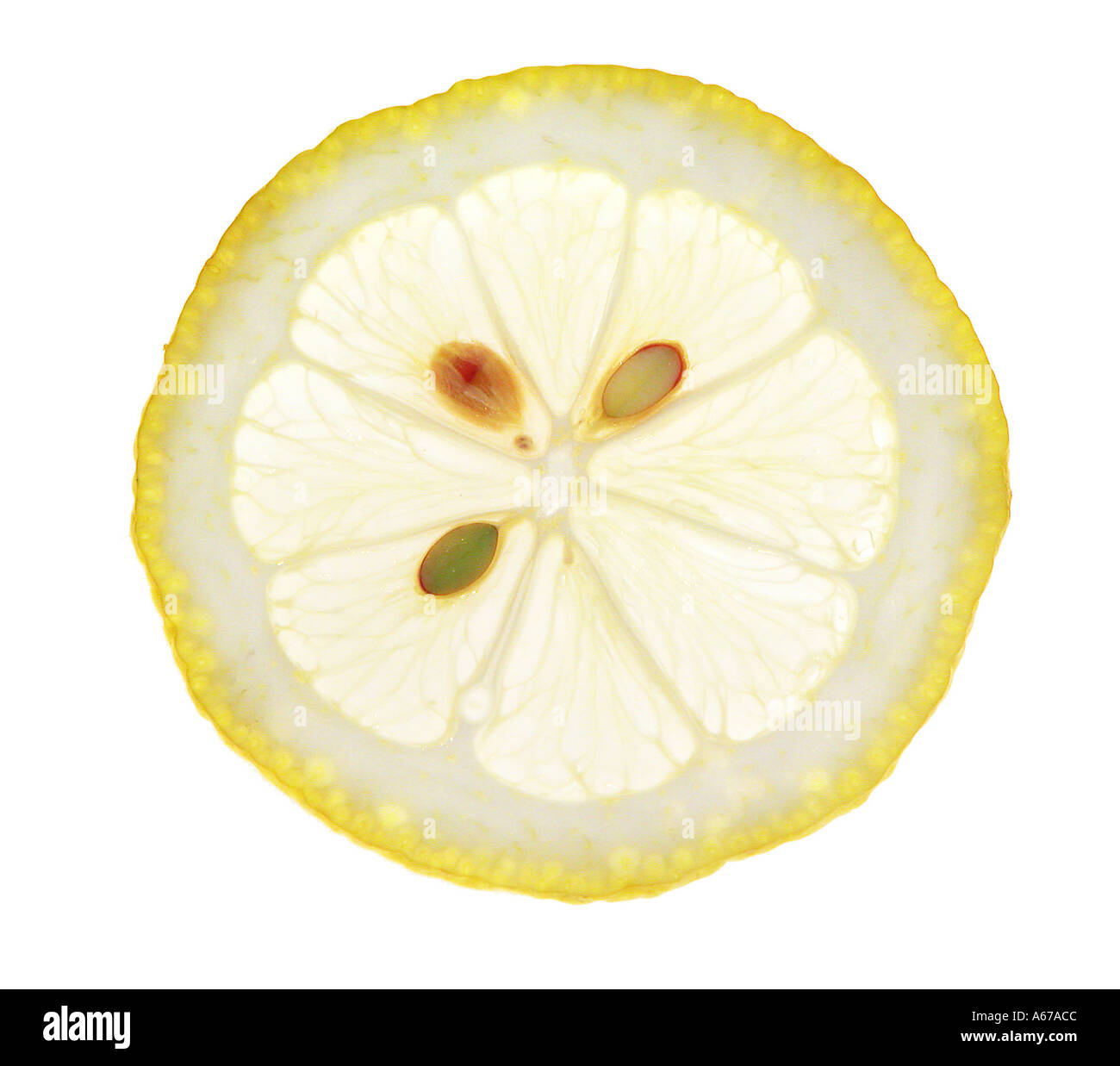 slice of lemon Stock Photo - Alamy