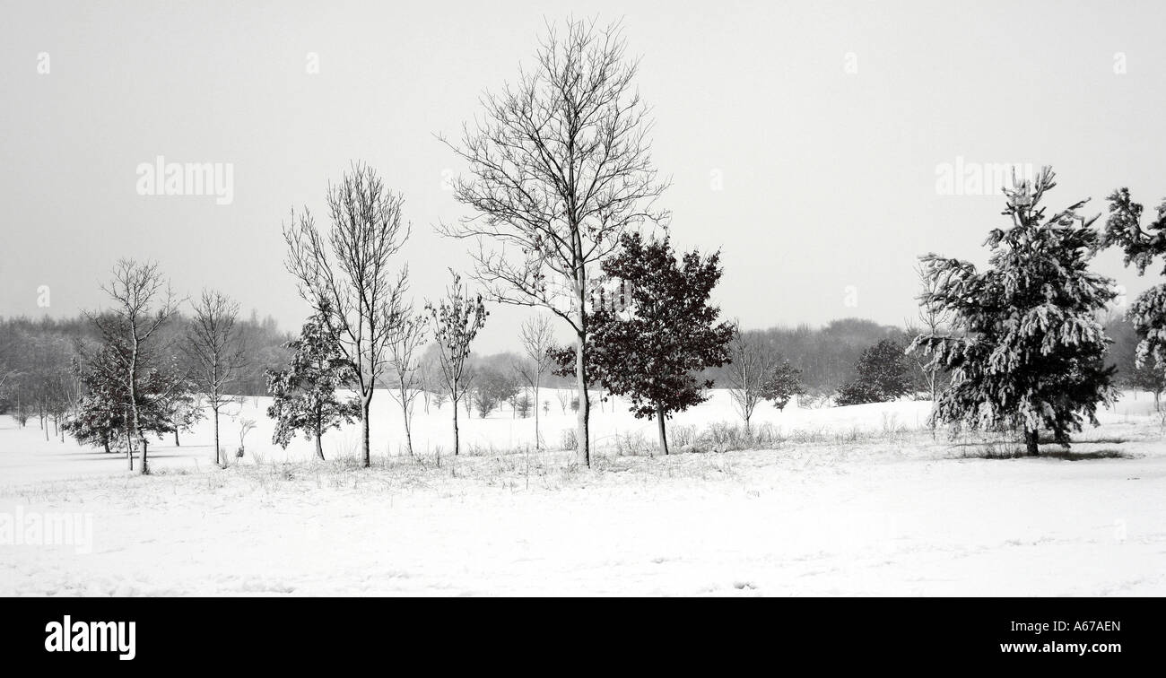 A cold winters snow scene Stock Photo - Alamy