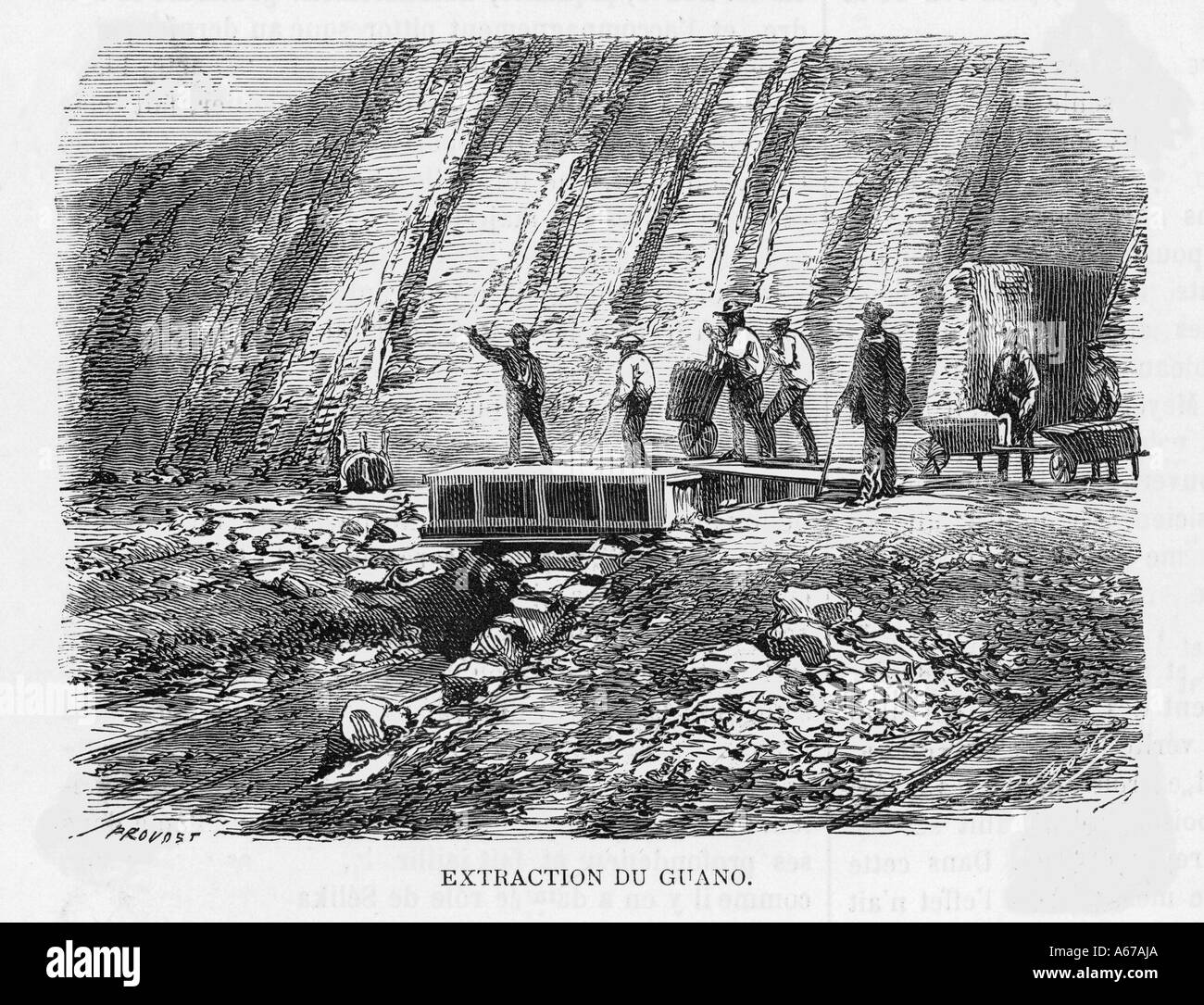 Extracting Guano Peru Stock Photo - Alamy