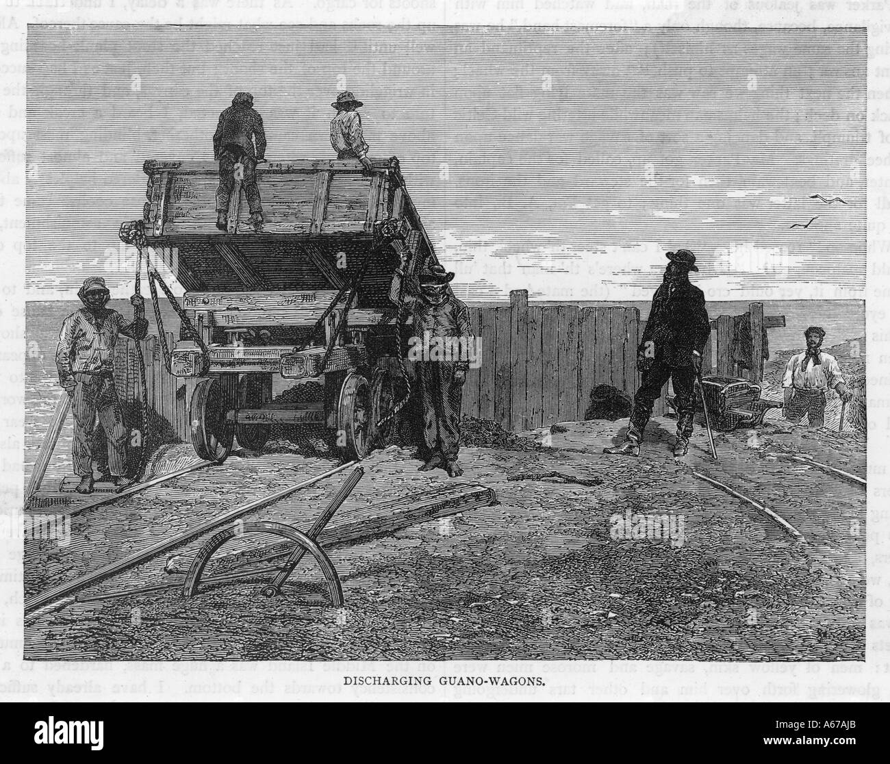 Guano Black and White Stock Photos & Images - Alamy