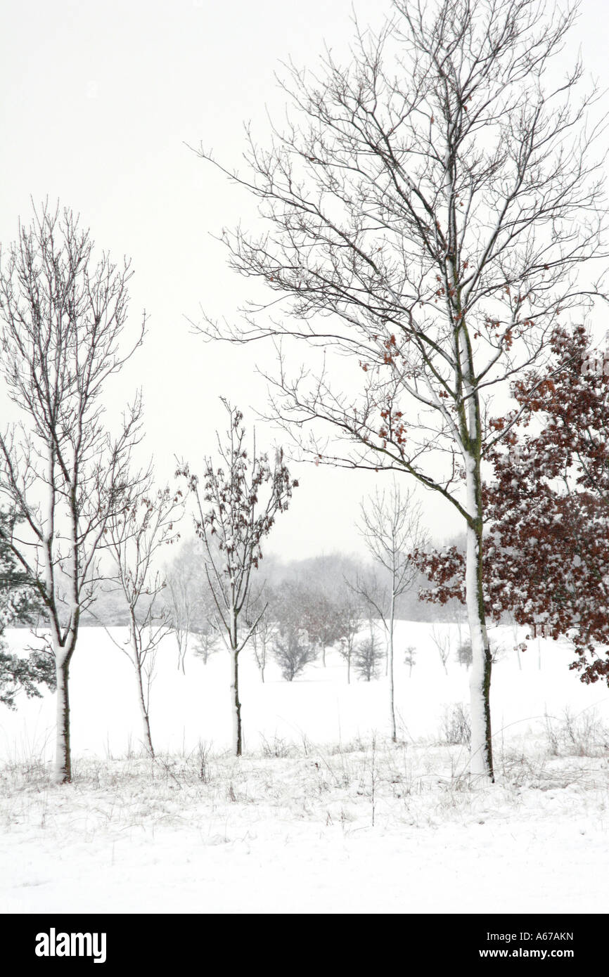 A cold winters scene Stock Photo - Alamy