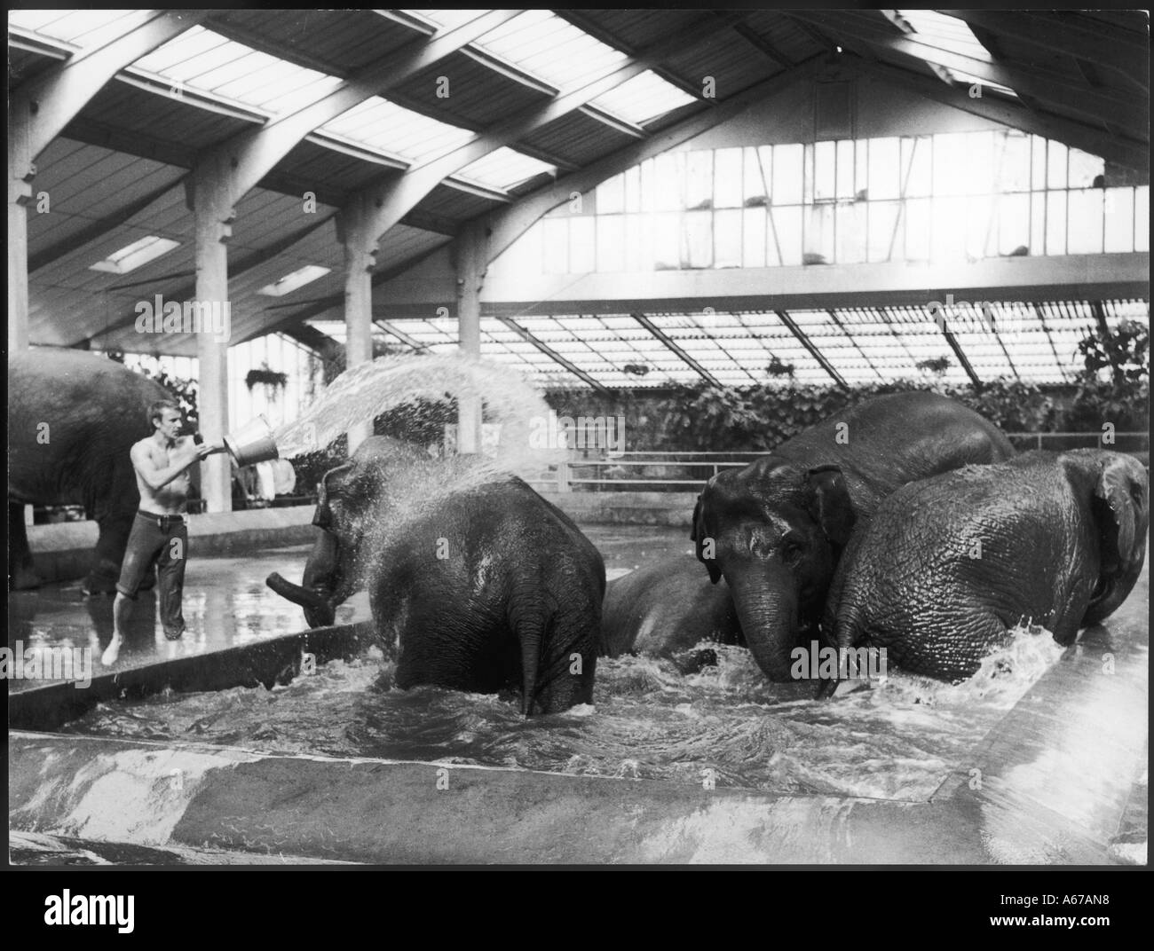 Chester zoo england hi-res stock photography and images - Alamy