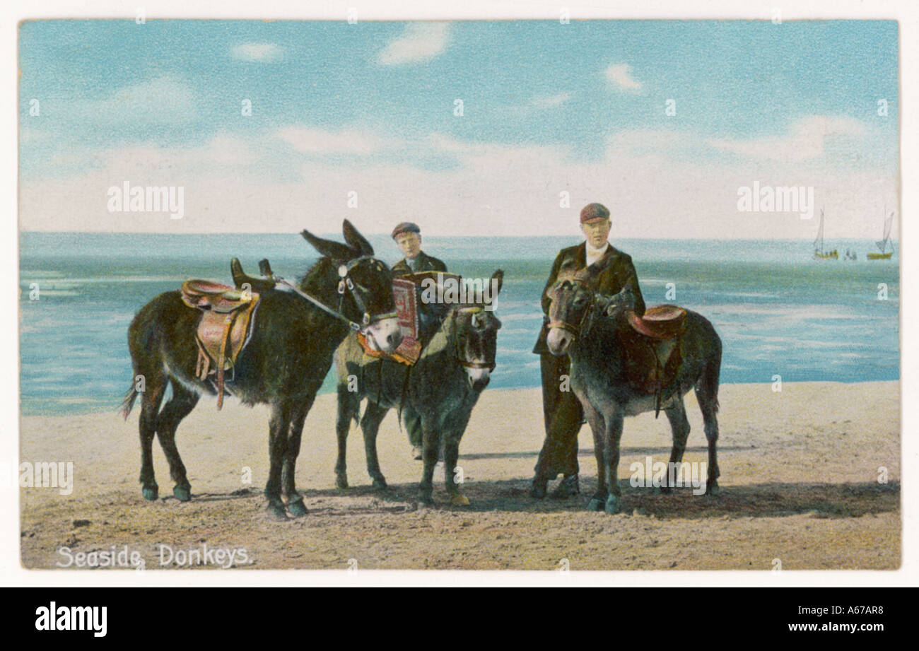 Seaside donkey rides historical hi-res stock photography and images - Alamy