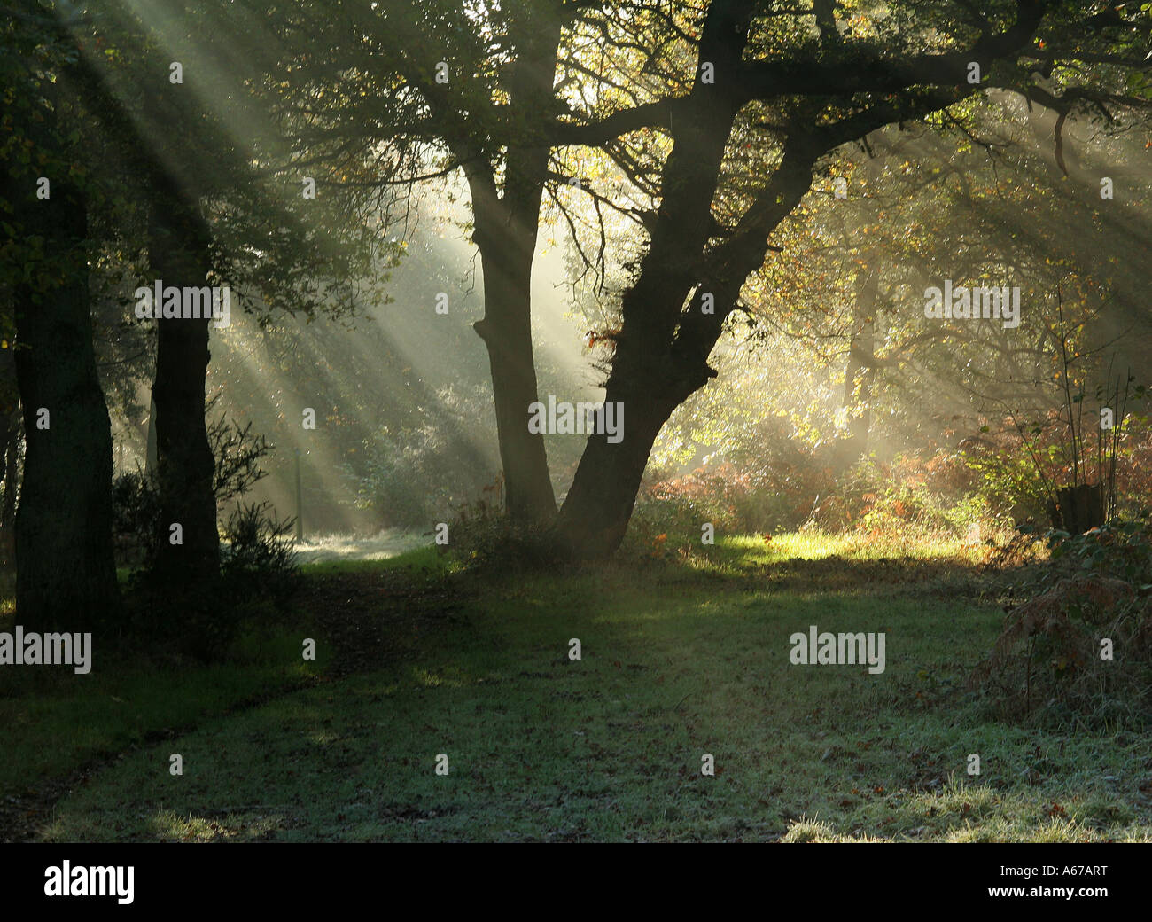 Walking light and shadows beams hi-res stock photography and images - Alamy