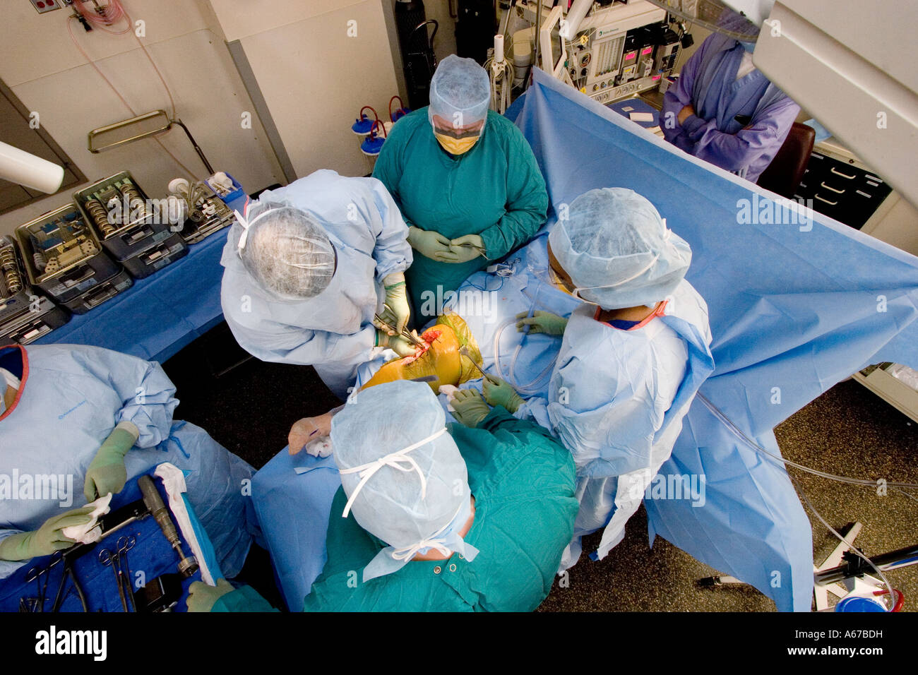 Birds eye view knee joint hi-res stock photography and images - Alamy