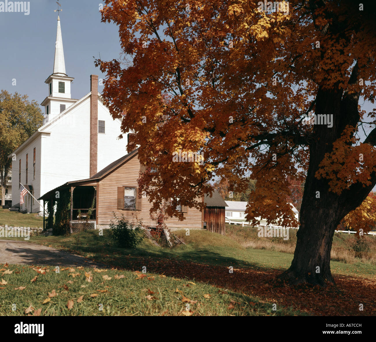 Sugar maple tree colors hi-res stock photography and images - Alamy