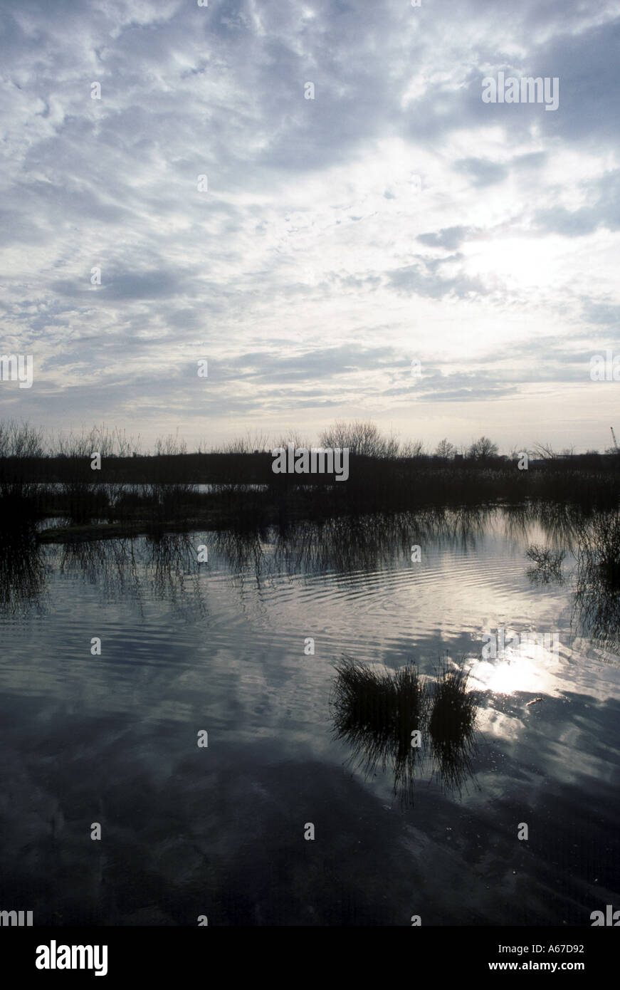 Dinton pastures country park hi-res stock photography and images - Alamy